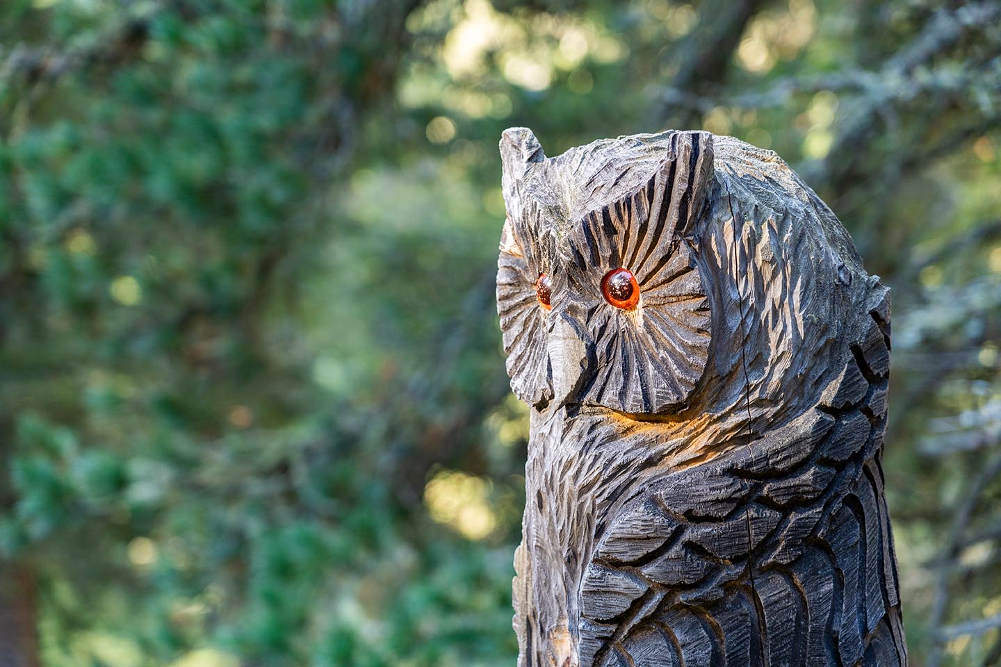 Hiking in the Empire of King Waldgeist – Kärntencard Sommer